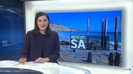 ABC News Presenters and Reporters - Page 95 - ABC and SBS News - Media Spy