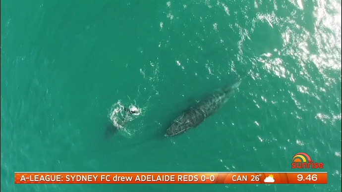 Seven Regional - Page 32 - Regional and Community Television - Media Spy