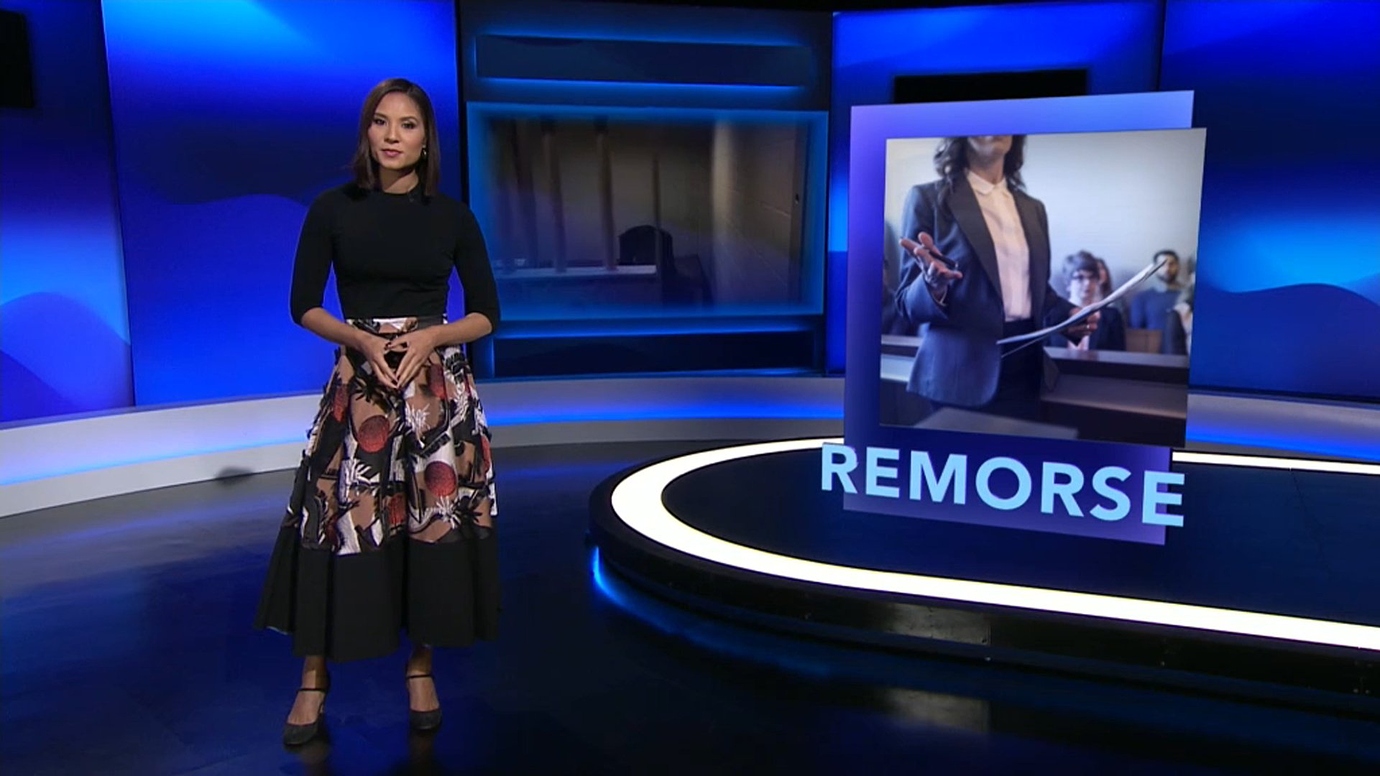 Insight - ABC and SBS News - Media Spy