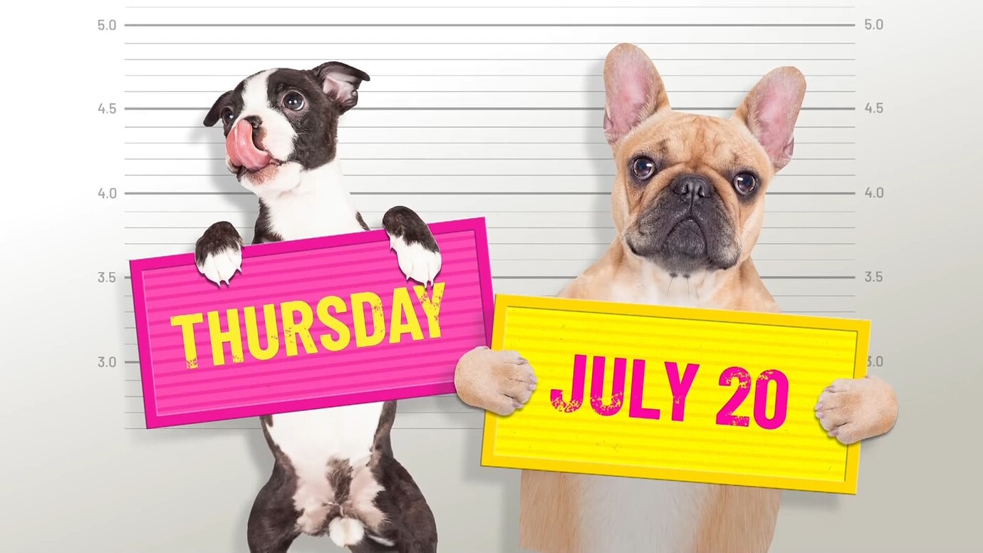 Dogs Behaving (Very) Badly Australia - Ten Network - Media Spy