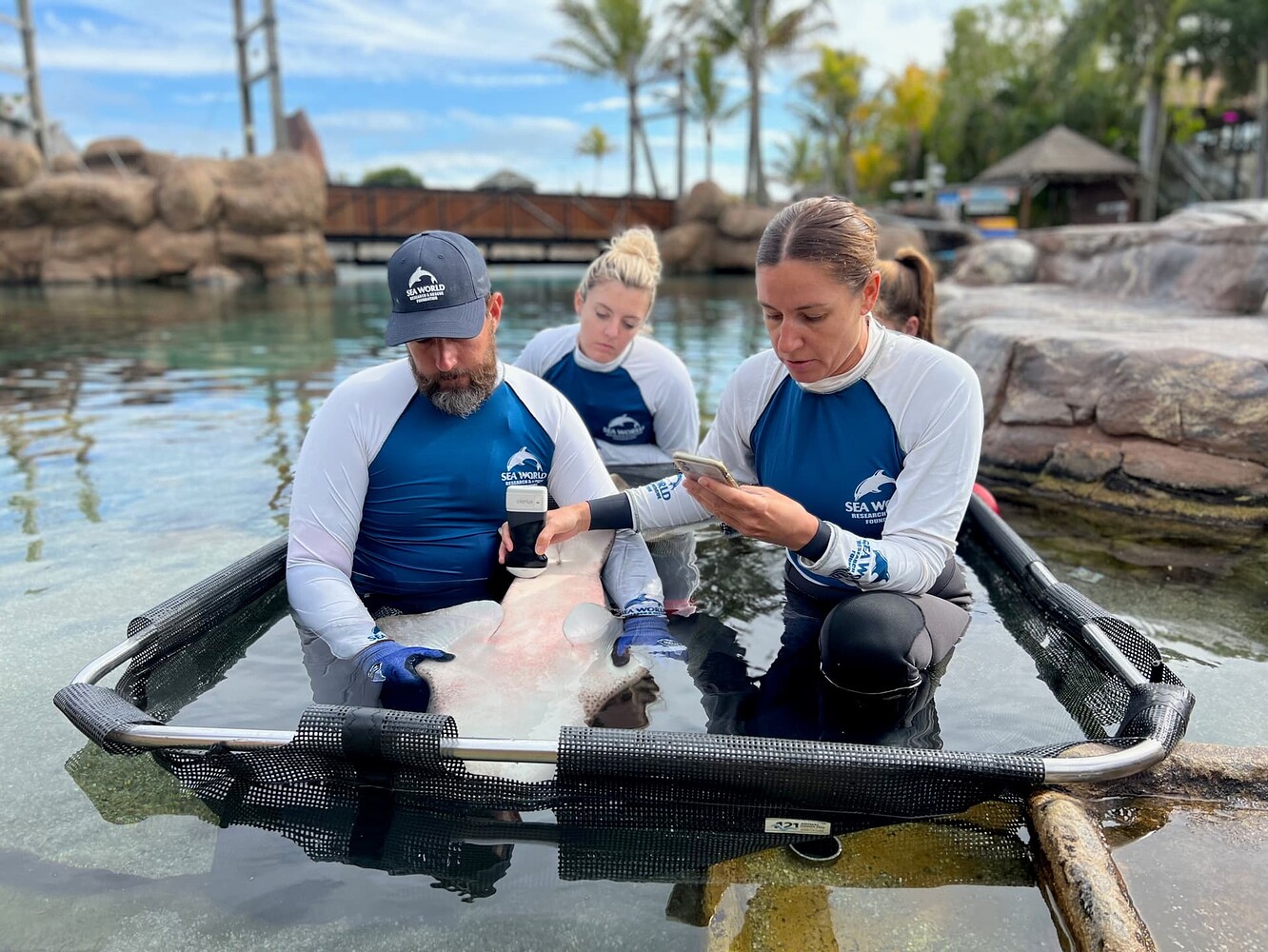 Gold Coast Ocean Rescue - Seven Network - Media Spy