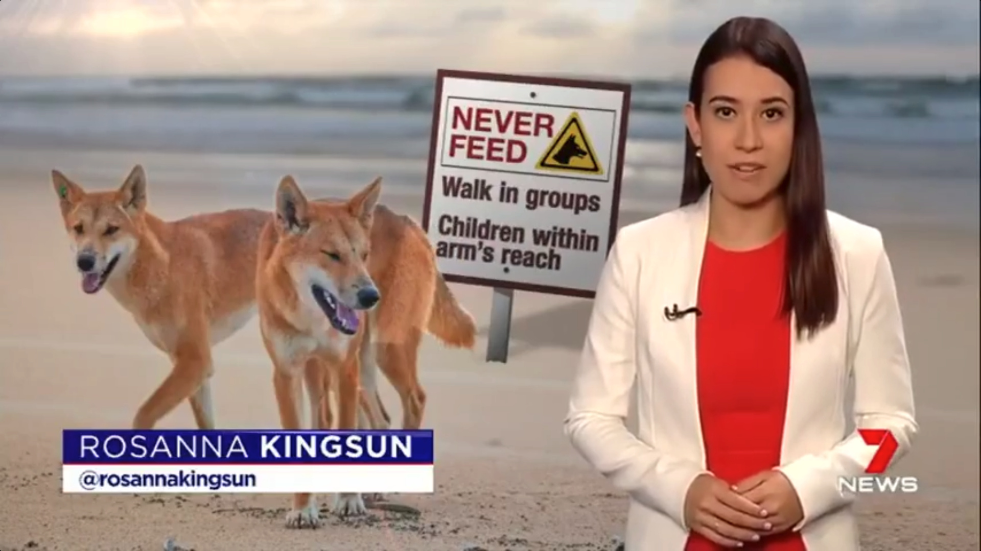Seven News Presenters and Reporters (2015-Sept 2020) - Page 312 - Seven ...